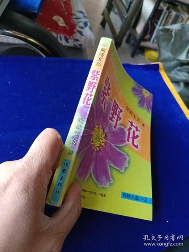 野花小说