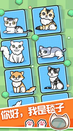 养猫达人红包版v1.0图标