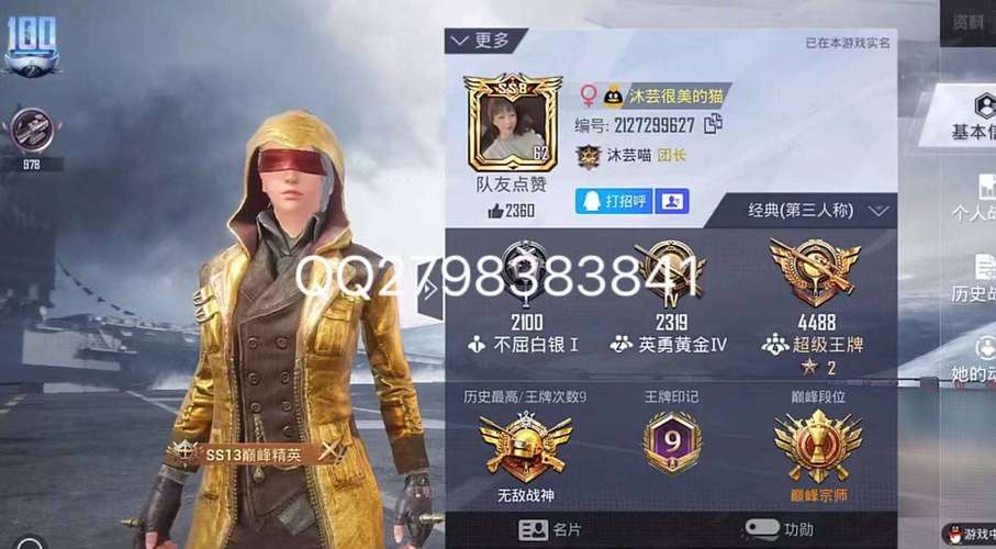 墨辰美化包至尊金龙