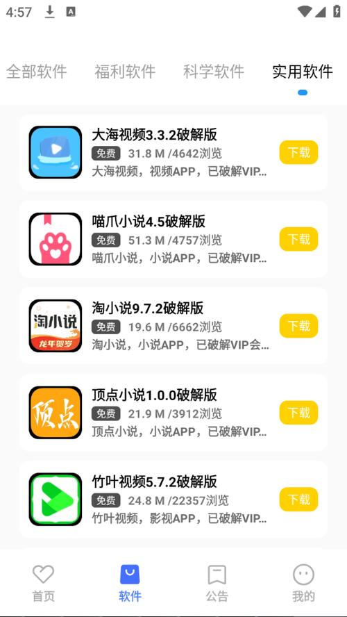 BhVip软件库