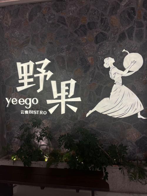 野果阅读去广告版截图