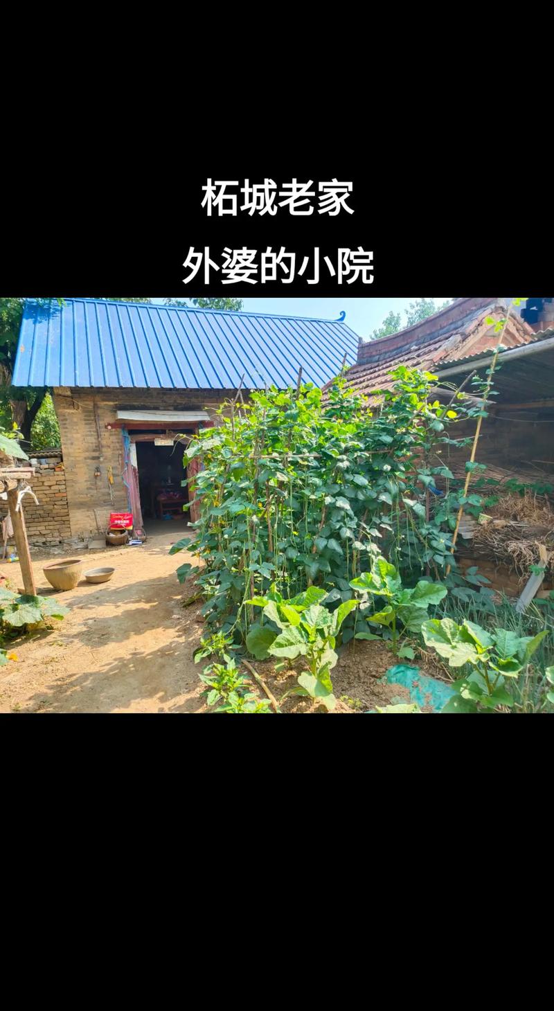 外婆的农家小院