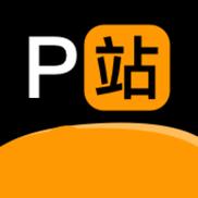 P站APP下载最新版截图