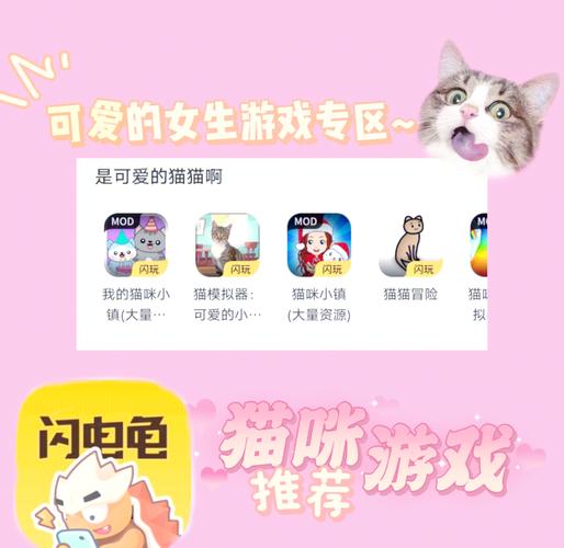 一起来养猫