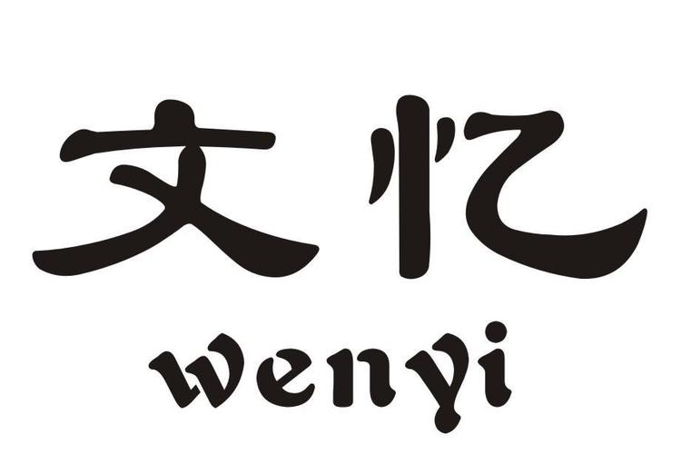 忆文2023截图