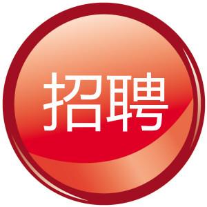电池招聘appv9.6.8截图