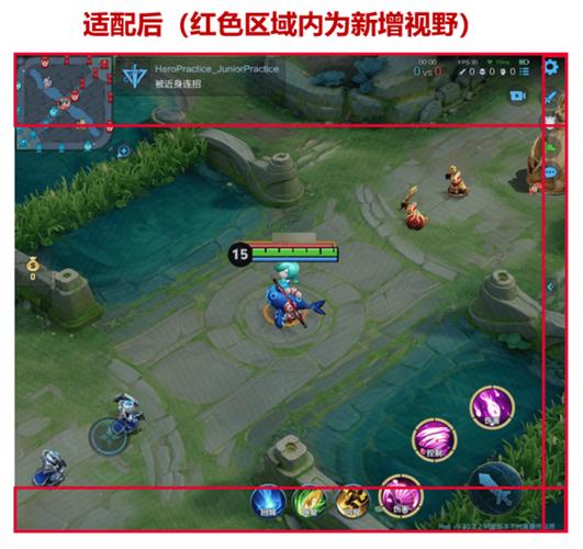 王者荣耀全图视野辅助软件图标