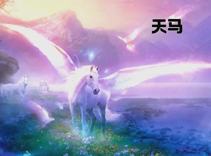 天马阅读v1.7
