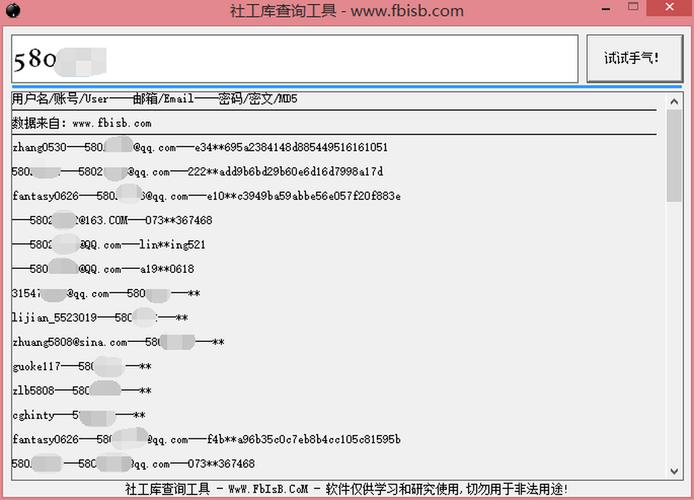 社工库查询工具截图