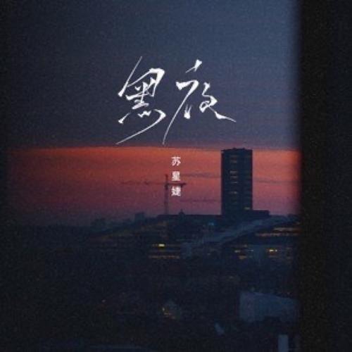 黑夜小说app