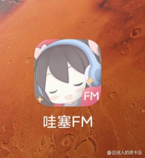 乐可哇塞fmv0.0.25截图