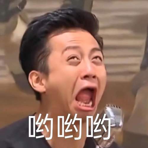 邓超你把你兄弟推给我表情包