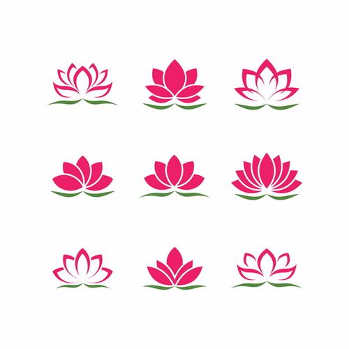 荷花视频图标