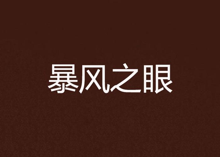 暴风眼小说图标