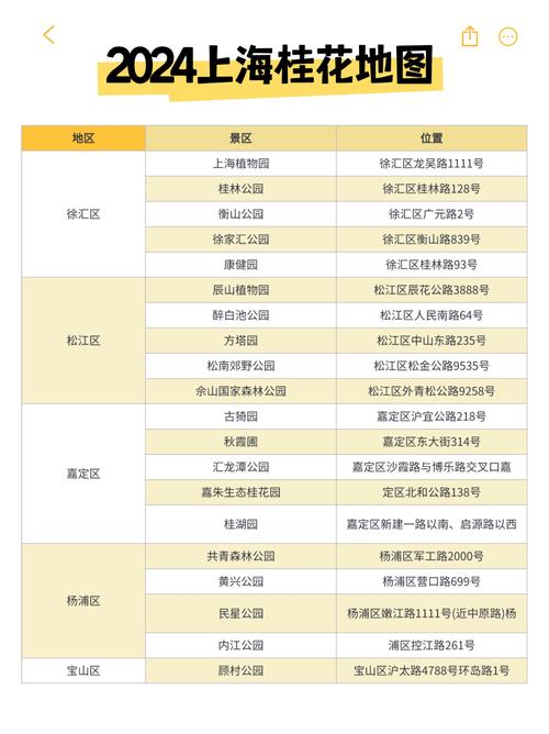 桂花网官方版