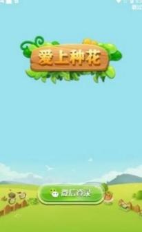种花来养你红包版图标