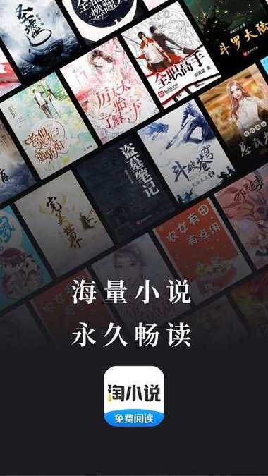淘小说去广告破解版