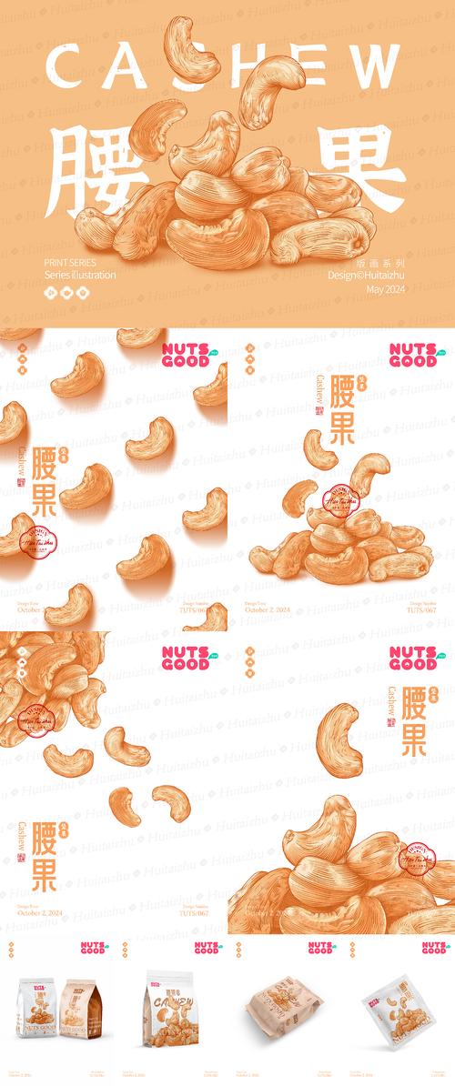 坚果免费小说图标