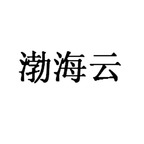 渤海云店