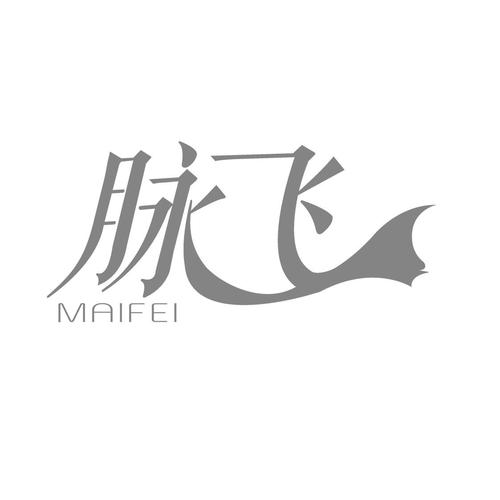 飞脉app截图