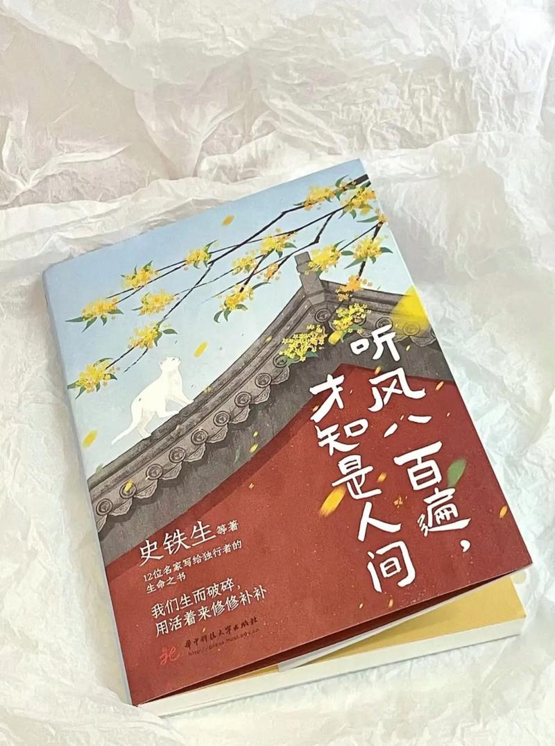 听风小说