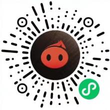 小猪快推极速版截图