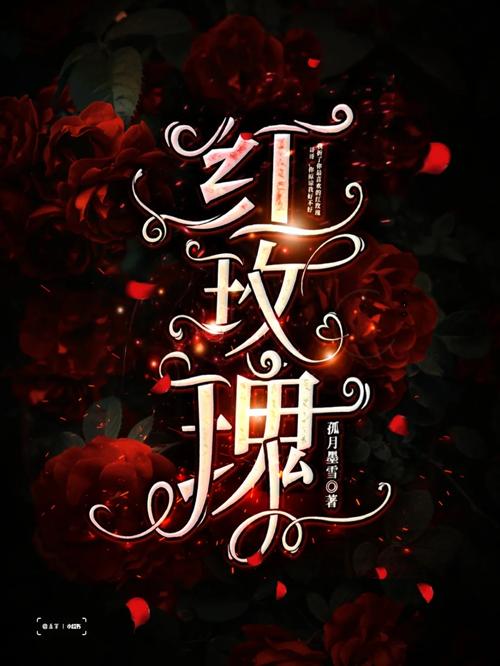 玫瑰小说官方版截图