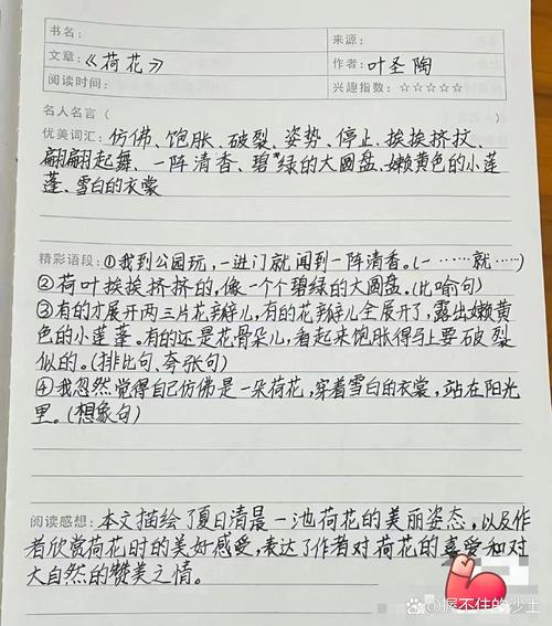 莲花读书心得