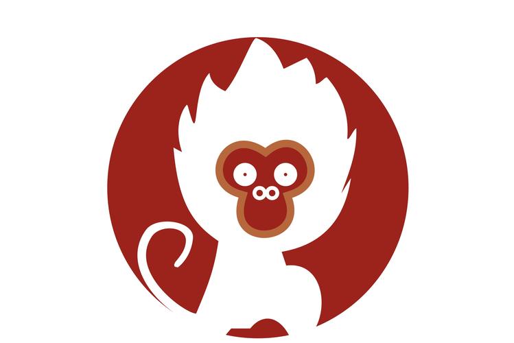 南猴短视频v1.0截图