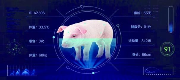 虚拟养猪场最新版图标