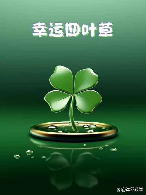 四叶草视频