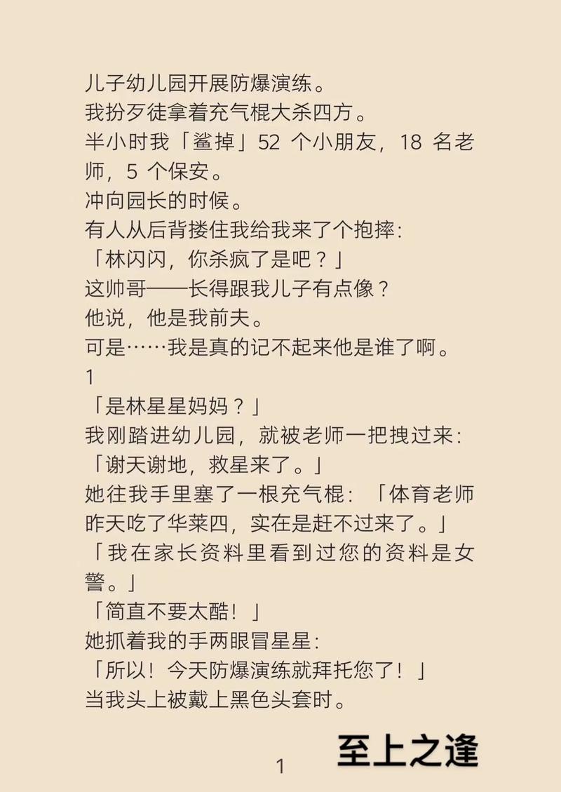 闪闪小说