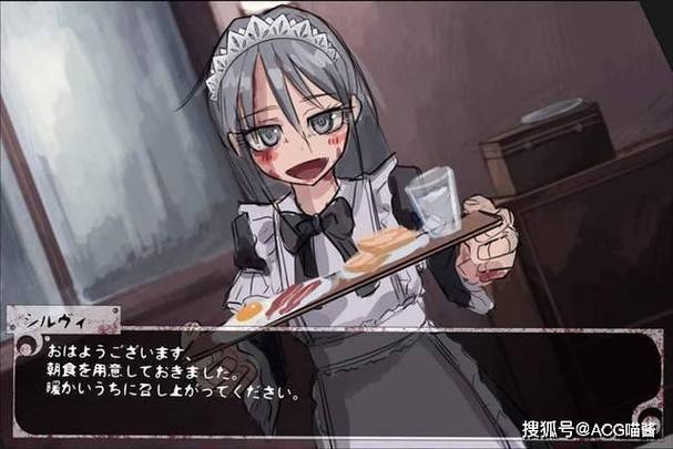 奴隶少女希尔微的生活正常版