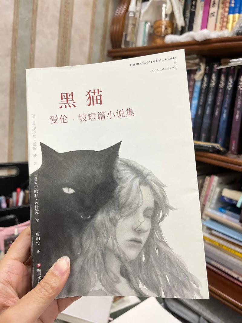 黑猫小说旧版