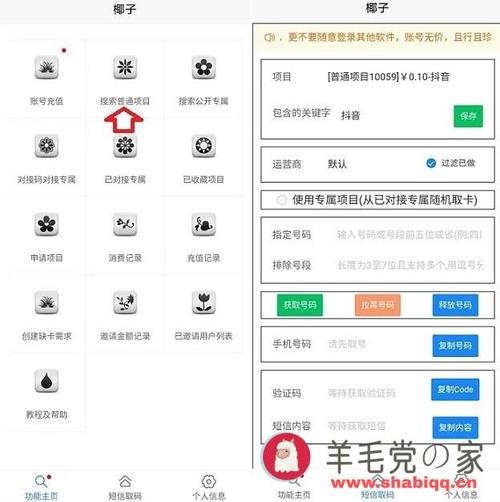 椰子接码软件图标