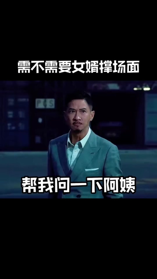 帮我问一下阿姨今年过年需要女婿吗表情包截图