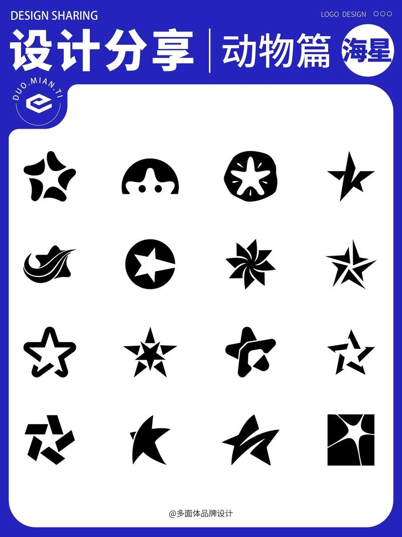 海星快讯1.0.4图标