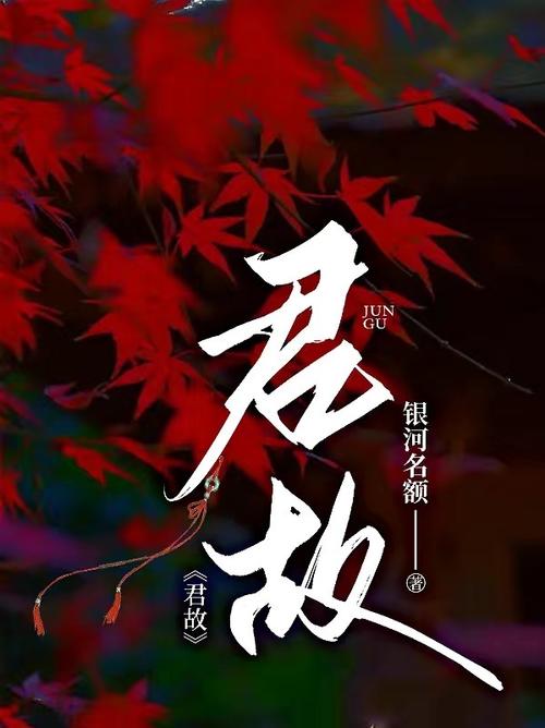 君故小说