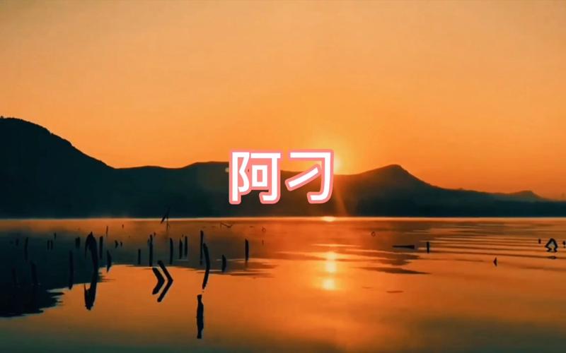 阿刁视频