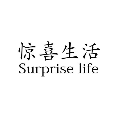 惊喜生活图标
