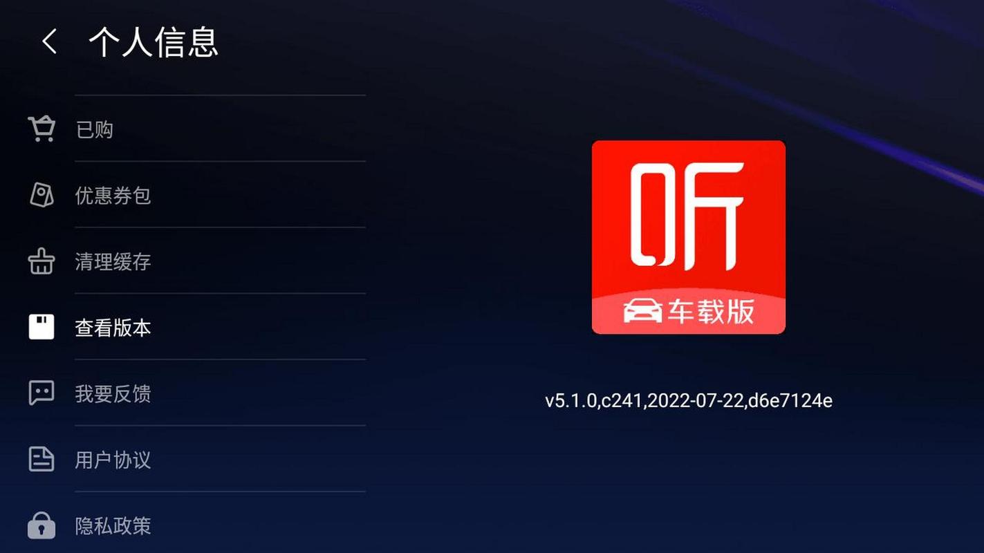 喜马拉雅fm车机版截图