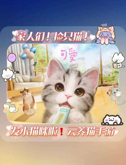 一起来养猫截图