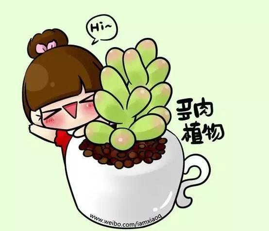 多肉漫画图标