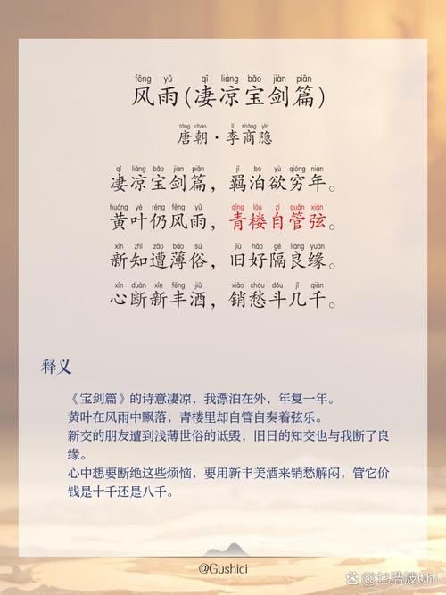 风雨小说