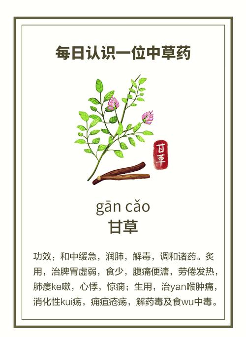 干草聊天软件