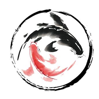 太极鱼画质免rootv2.1截图