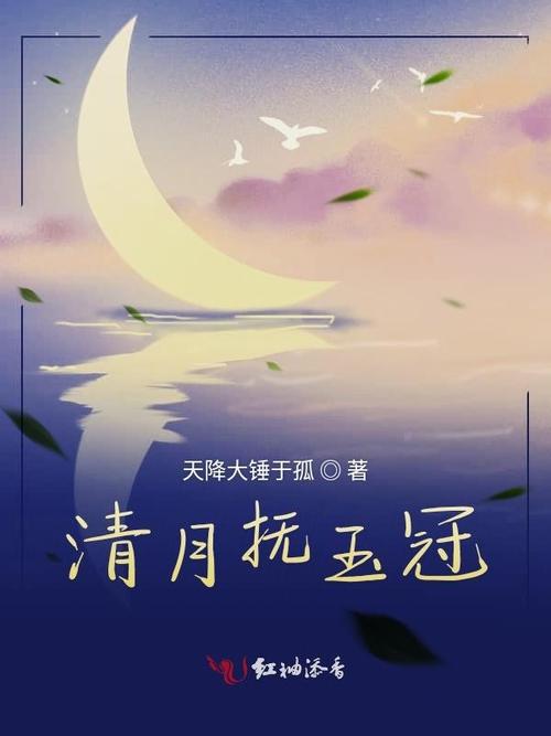 清月小说v4.4图标