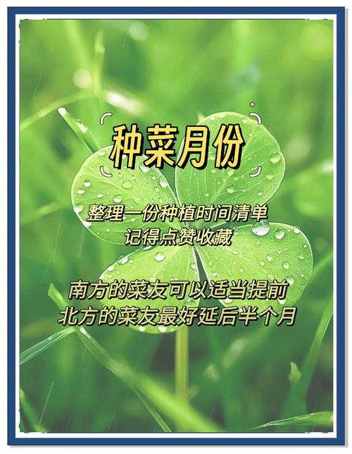 来了就种菜