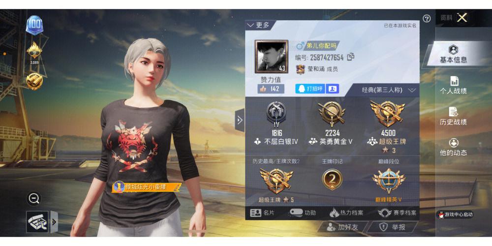 和平精英XXS多功能辅助