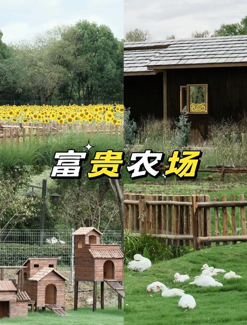 富贵农场极速版